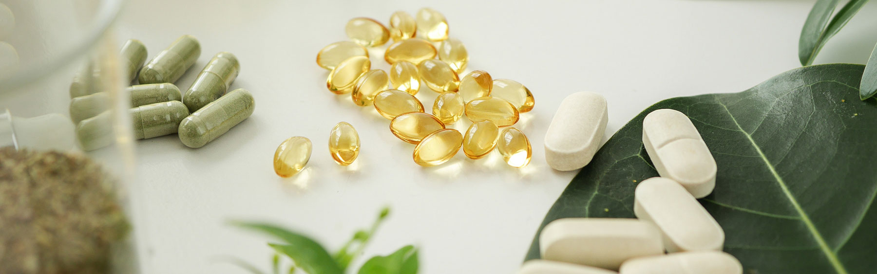 Services – Excel Herbal Industries